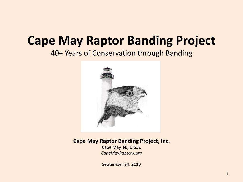 PPT - Cape May Raptor Banding Project 40+ Years of Conservation through ...