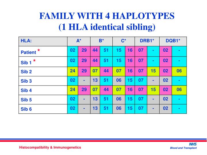 PPT - PRINCIPLES OF HLA TYPING; HLA MATCHING IN HSCT David Smillie H ...