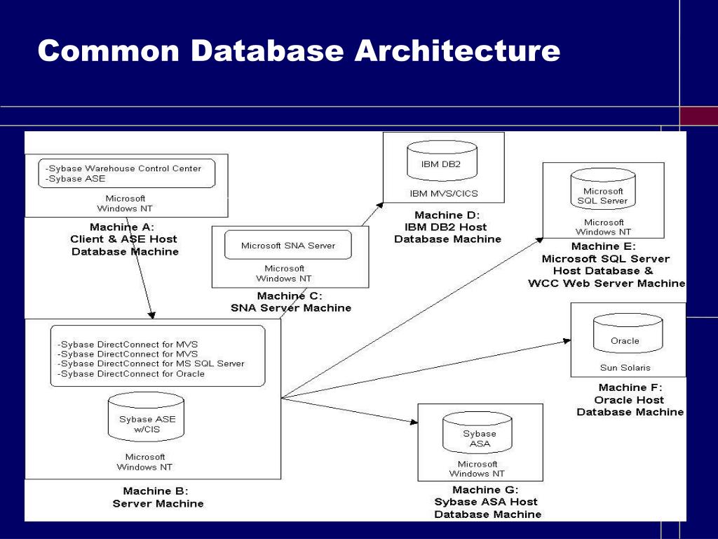 PPT - ACCESS - TEAM Austin, Sandra Grant, Anthony Pham, Tran Samuel ...