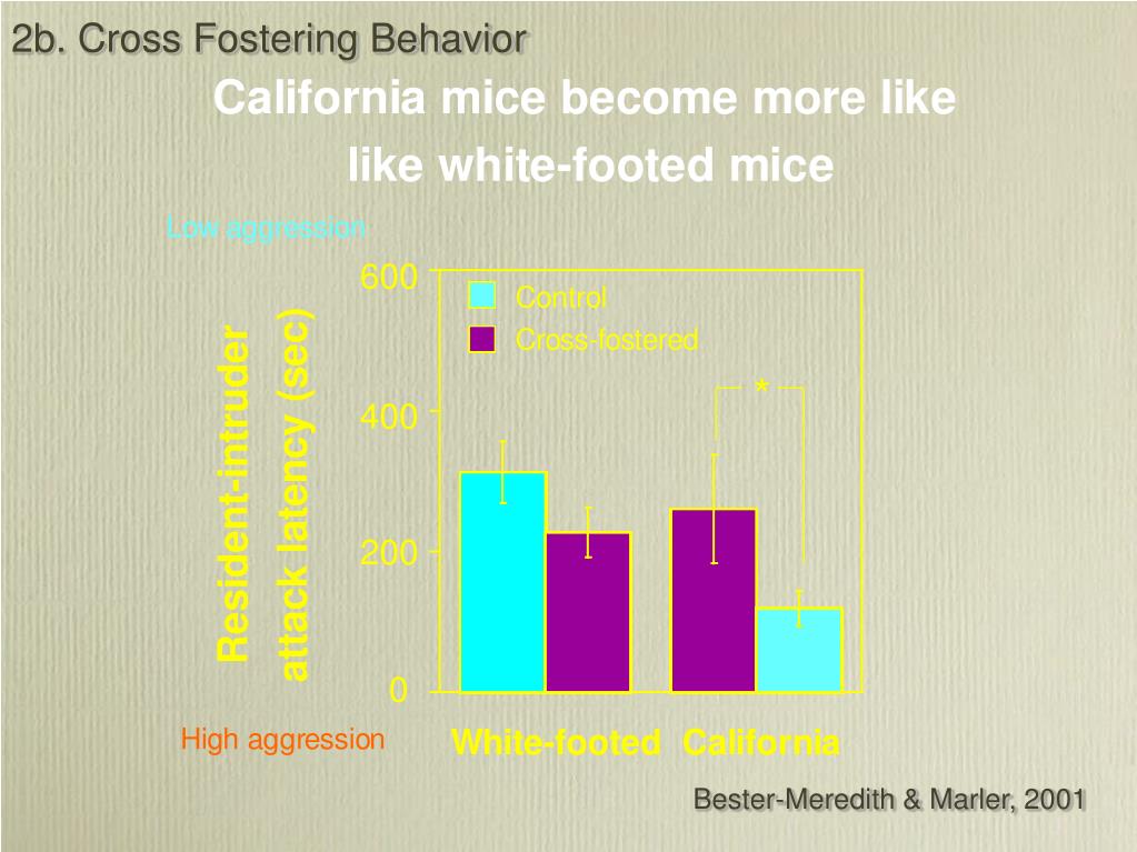 PPT - Gene Expression, Biological Psychiatry, & the Family PowerPoint ...