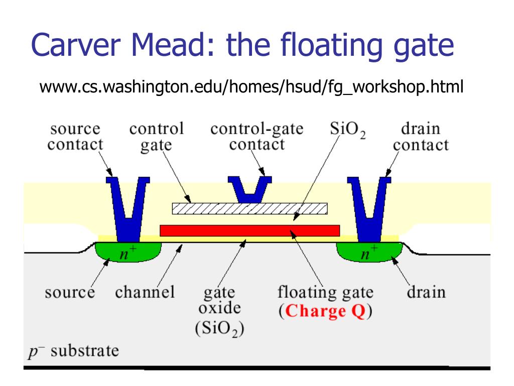 PPT - Analog VLSI Neural Circuits PowerPoint Presentation, free ... PPT - Analog VLSI Neural Circuits PowerPoint Presentation, free ...