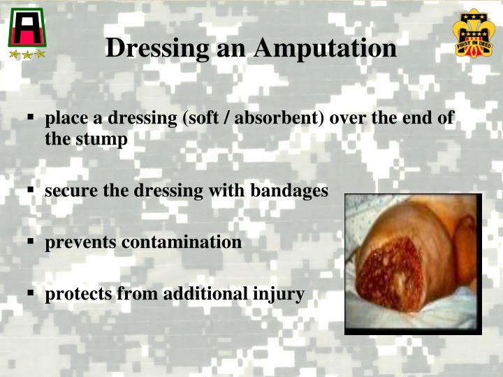 PPT - Controlling Bleeding PowerPoint Presentation - ID:3416835