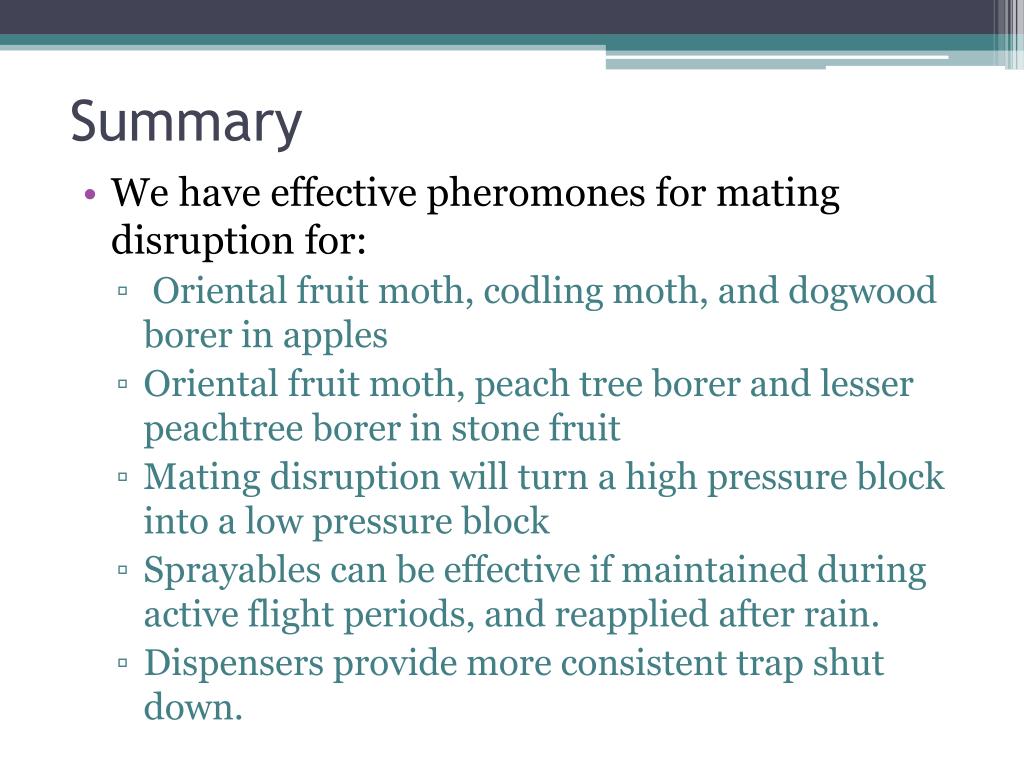 Ppt Where When Does Mating Disruption Work Powerpoint Presentation