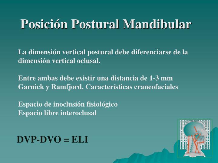 PPT - Posiciones Mandibulares Básicas PowerPoint Presentation - ID:3417105