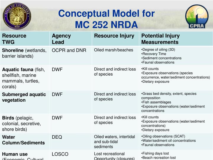 PPT - Conceptual Model for MC 252 NRDA PowerPoint Presentation, free ...