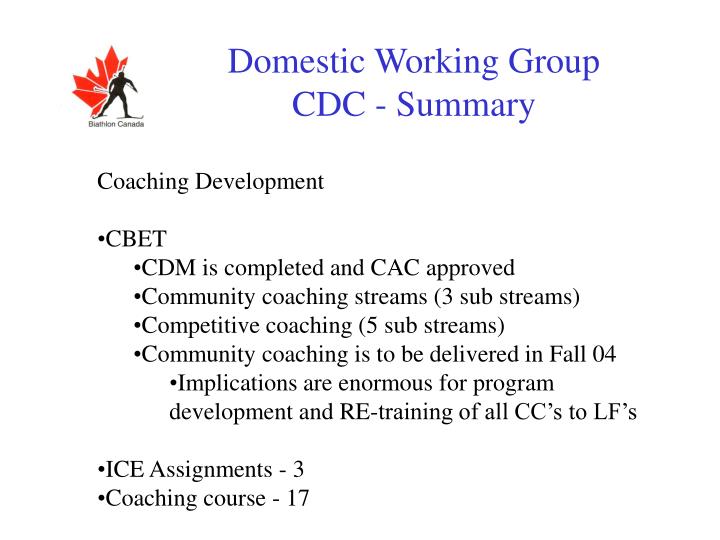 PPT - Domestic Working Group CDC - Summary PowerPoint Presentation ...