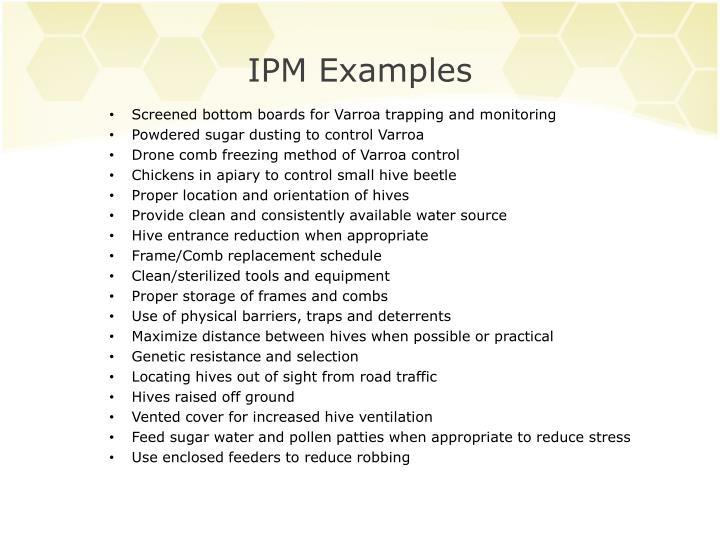 PPT - Sustainable Beekeeping PowerPoint Presentation - ID:3418064