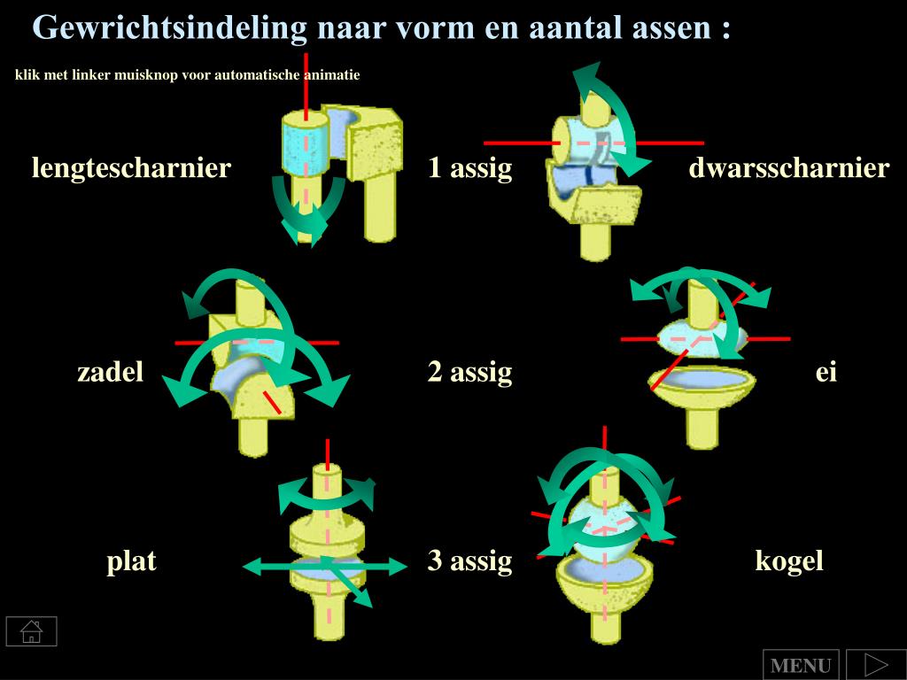 PPT - “Algemene anatomie” o.a. vlakken, assen, termen, bewegingen ...