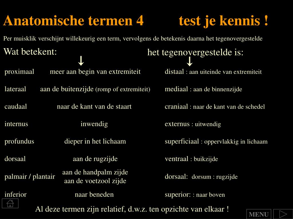 PPT - “Algemene anatomie” o.a. vlakken, assen, termen, bewegingen ...