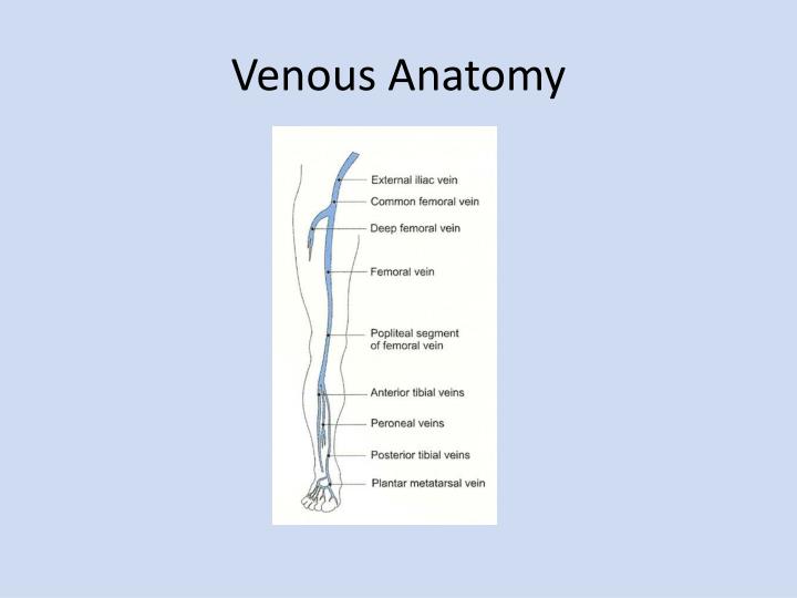 PPT - Endovascular Treatment for Patients with Deep Vein Thrombosis ...