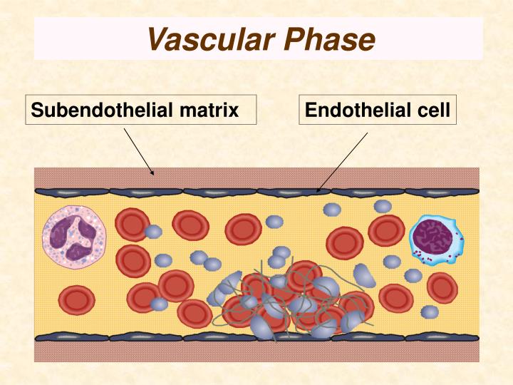 PPT - وقل رب زدنى علما PowerPoint Presentation - ID:3418884