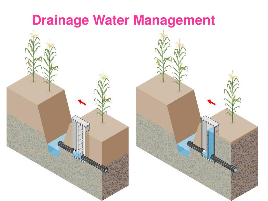 PPT - Conservation Drainage: Drainage for the 21st Century PowerPoint ...