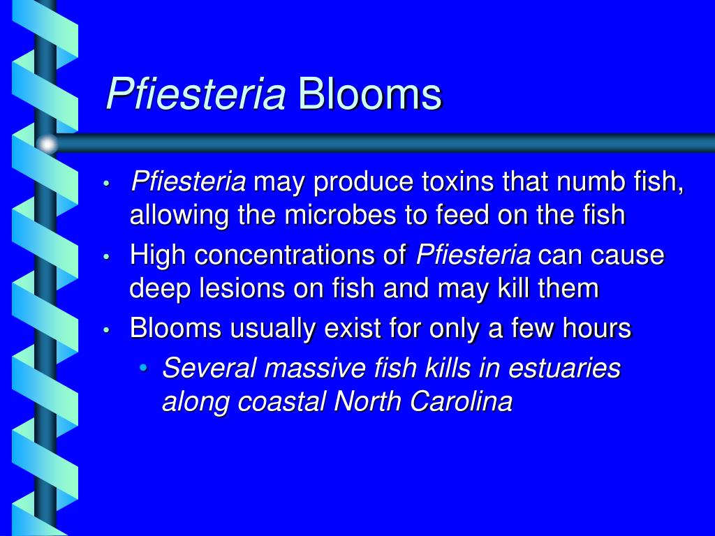 PPT - Seafood Safety and Natural Marine Toxins PowerPoint Presentation ...