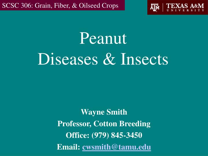 PPT - Peanut Diseases & Insects PowerPoint Presentation, free download ...