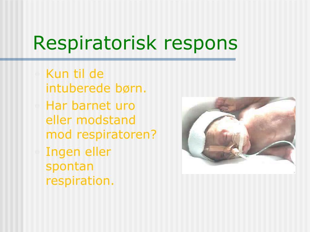 PPT - Smertevurdering af nyfødte COMFORTneo PowerPoint Presentation ...