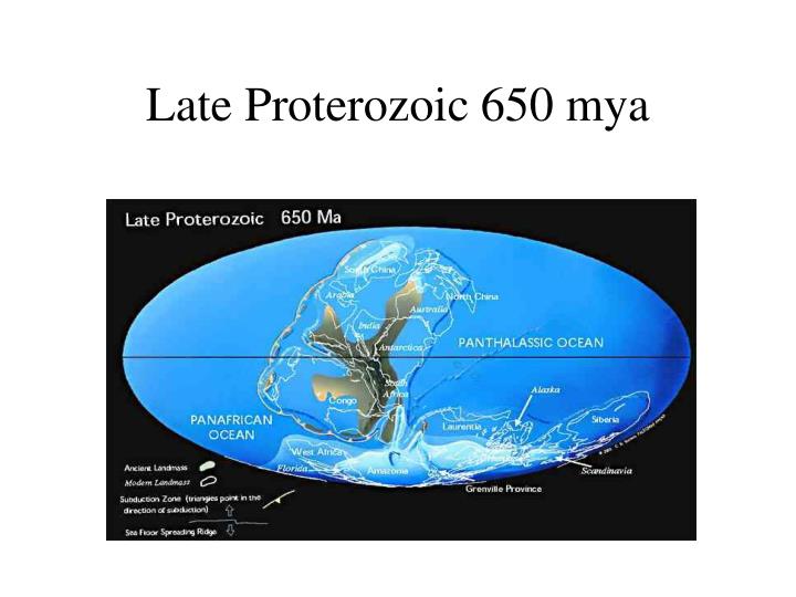 PPT - Proterozoic Eon 2.5 bya – 570 mya PowerPoint Presentation - ID ...