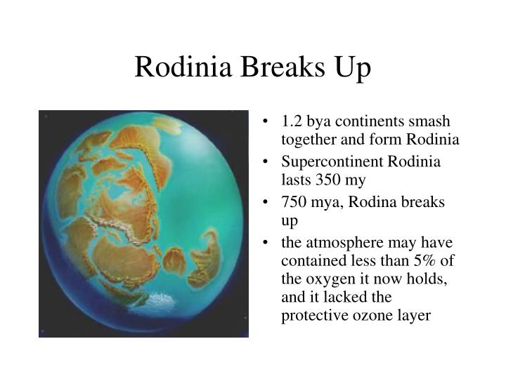 PPT - Proterozoic Eon 2.5 bya – 570 mya PowerPoint Presentation - ID ...