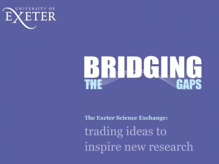 PPT - End of First Year Review Professor David Butler Principal ...