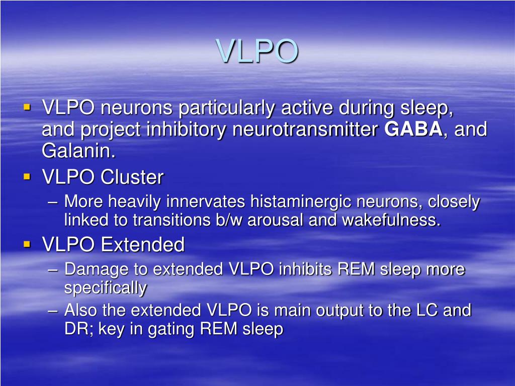 PPT - Hypothalamic regulation of sleep and circadian rhythms PowerPoint ... PPT - Hypothalamic regulation of sleep and circadian rhythms PowerPoint ...