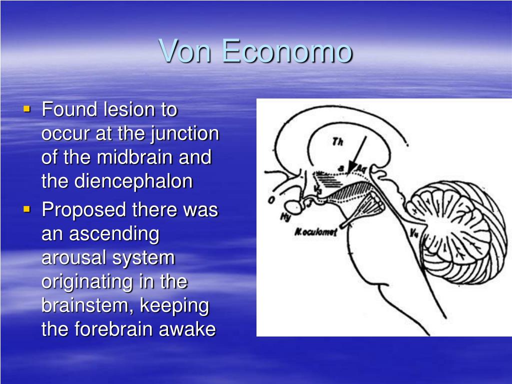 PPT - Hypothalamic regulation of sleep and circadian rhythms PowerPoint ... PPT - Hypothalamic regulation of sleep and circadian rhythms PowerPoint ...