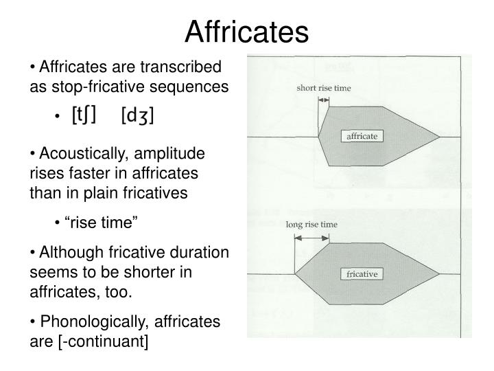 PPT - Fricatives + VOT PowerPoint Presentation - ID:3421023
