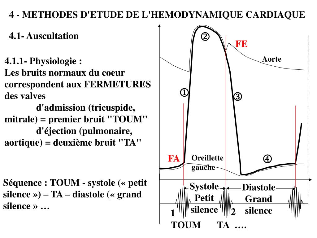 PPT - BIOPHYSIQUE DE LA CIRCULATION Mécanique des fluides Hémodynamique ...