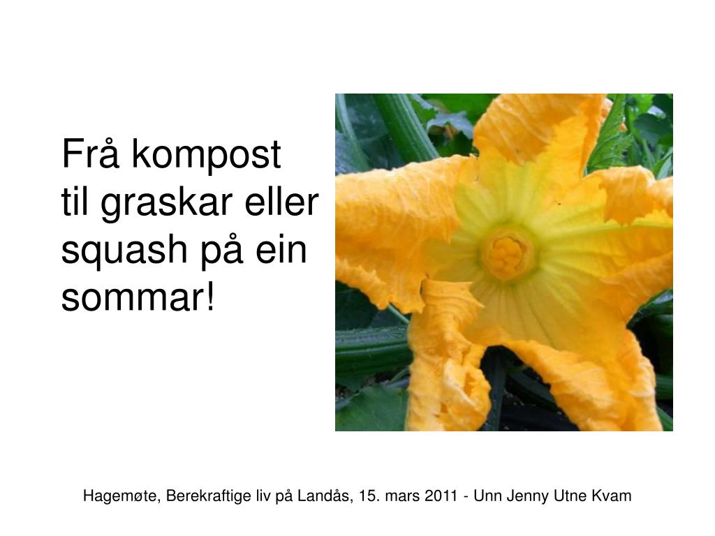 PPT - Frå kompost til graskar eller squash på ein sommar! PowerPoint ...