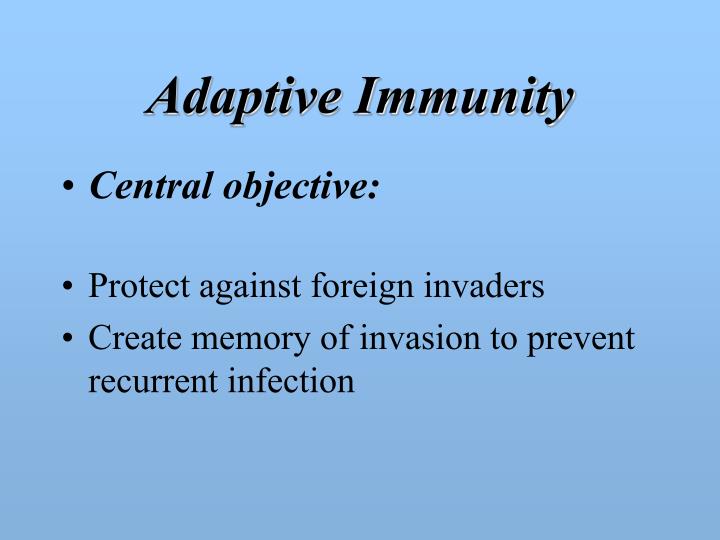 PPT - Adaptive Immunity PowerPoint Presentation, free download - ID:3422068