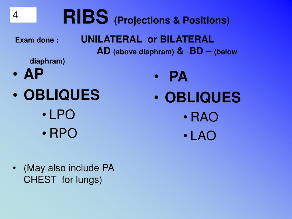 PPT - PA -anterior side BEST SEEN AP -posterior side BEST SEEN ...