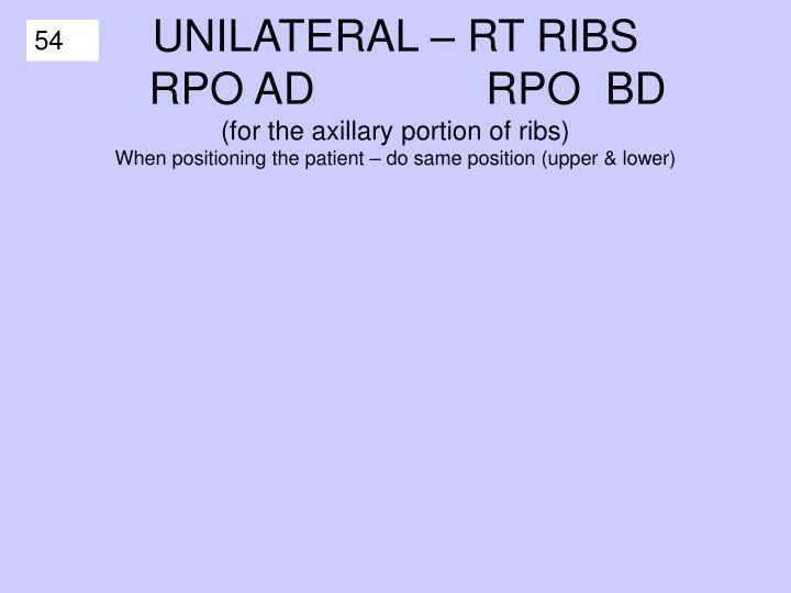 PPT - PA -anterior side BEST SEEN AP -posterior side BEST SEEN ...