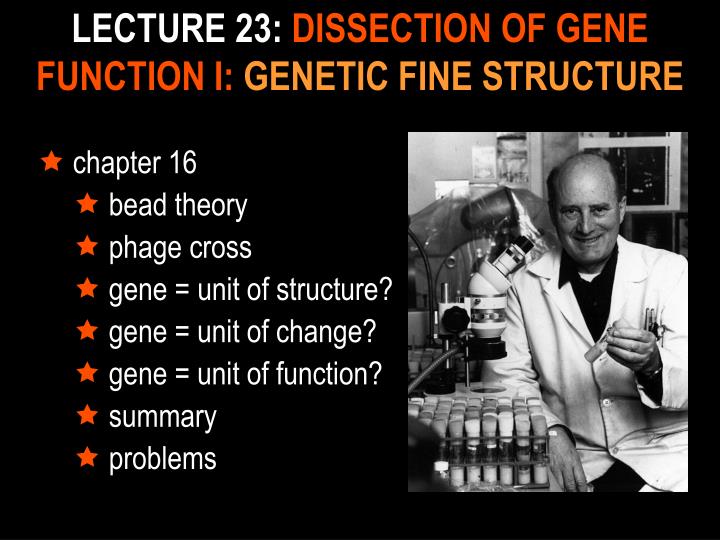 PPT - LECTURE 23: DISSECTION OF GENE FUNCTION I: GENETIC FINE STRUCTURE ...