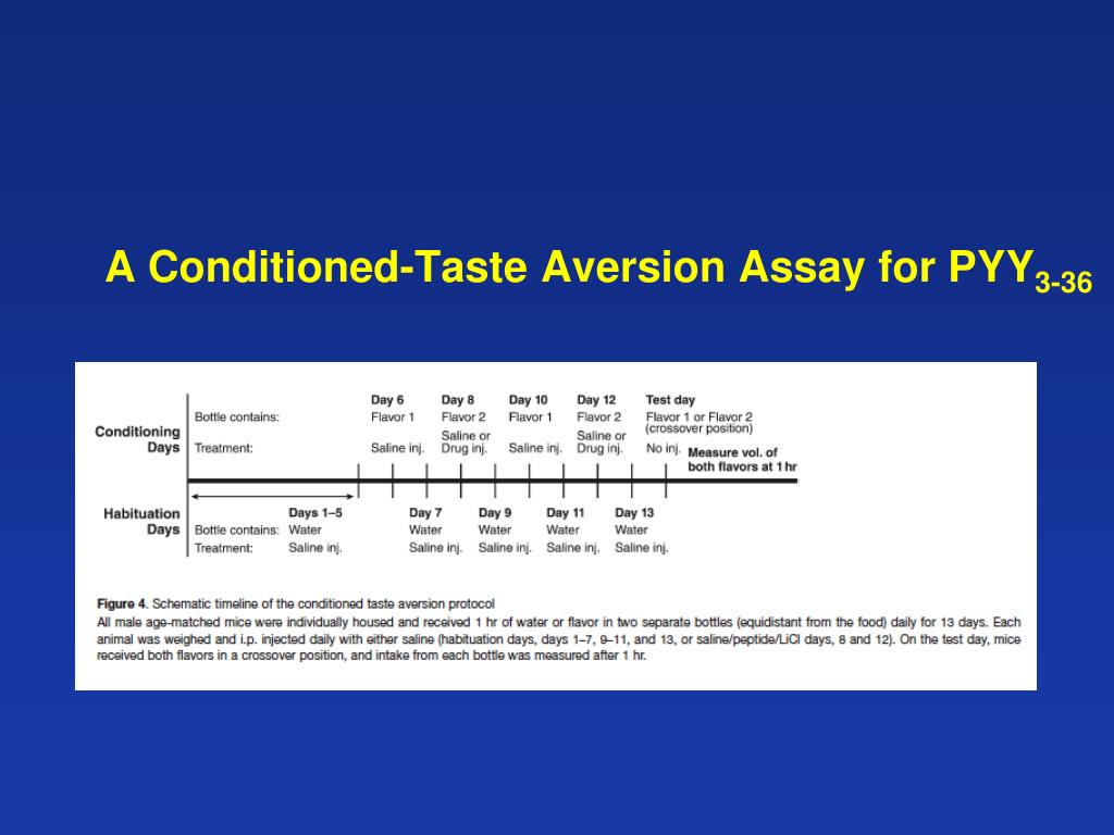 PPT - MPB 333 The Molecular Endocrinology of Obesity and Diabetes ...