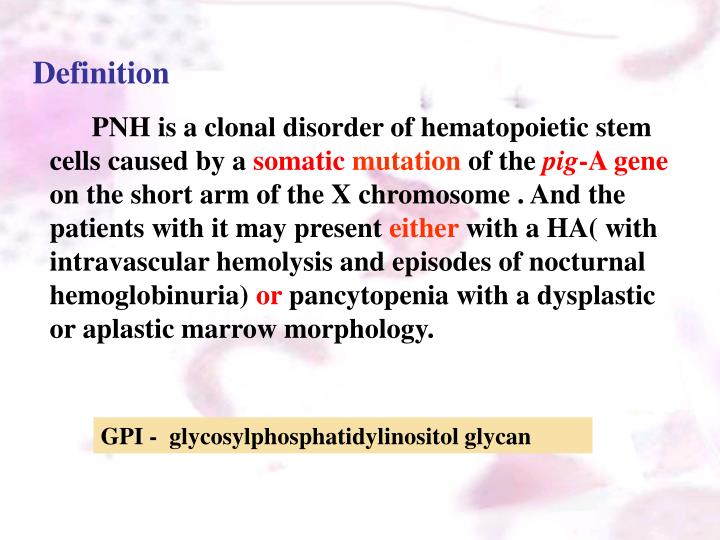 PPT - Paroxysmal Nocturnal Hemoglobinuria (PNH) PowerPoint Presentation ...