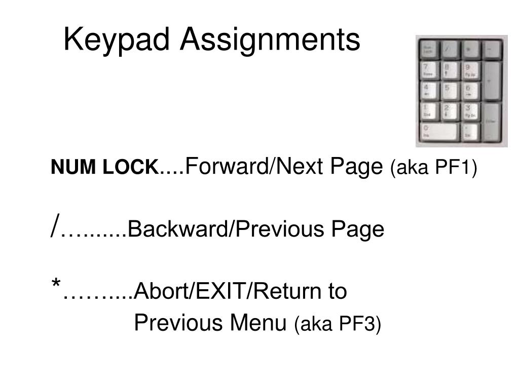 PPT - CERNER LIS To know it is to love it? PowerPoint Presentation ...