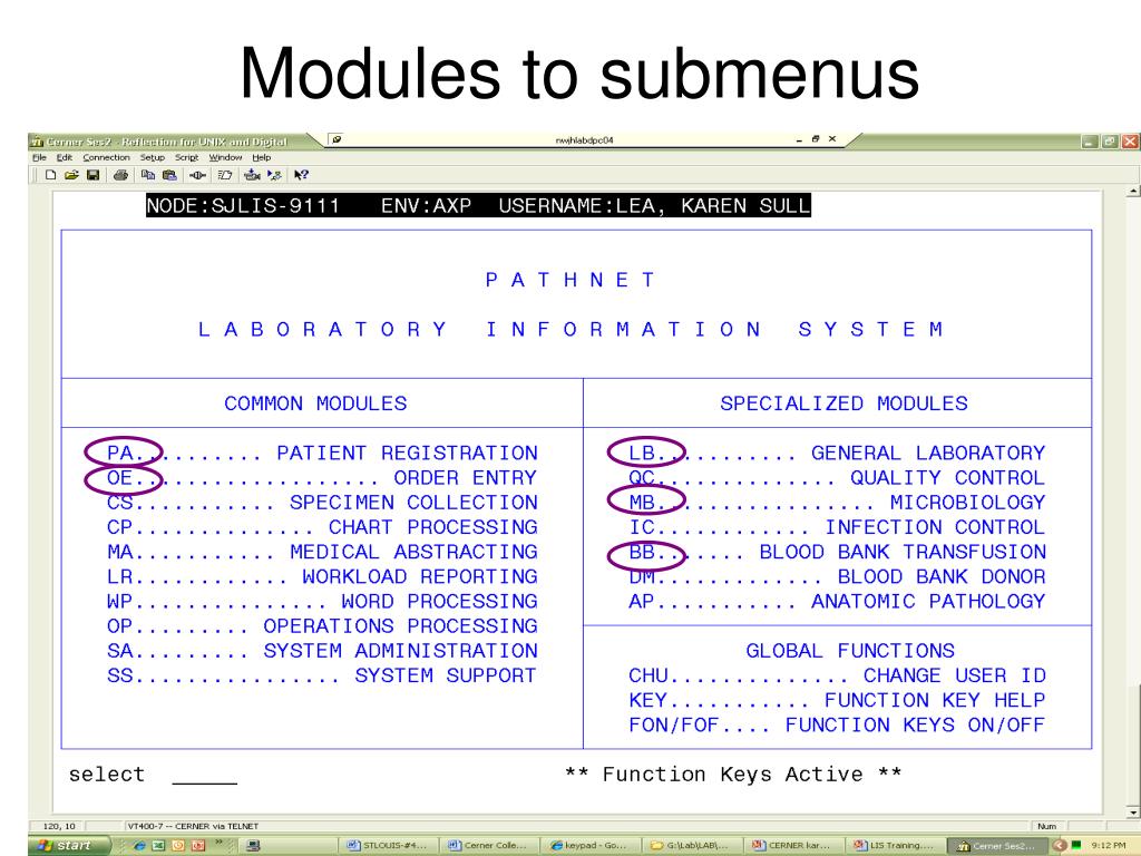 PPT - CERNER LIS To know it is to love it? PowerPoint Presentation ...