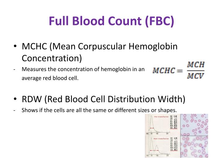 PPT - Diagnostic Blood Tests and their meaning PowerPoint Presentation ...