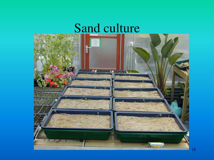 PPT - Plant and Soil Science PowerPoint Presentation - ID:3424063