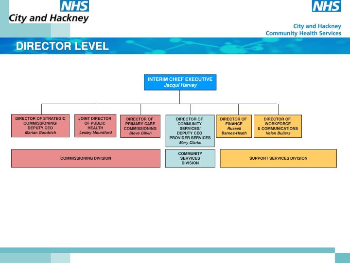 PPT - DIRECTOR LEVEL PowerPoint Presentation, free download - ID:3424527