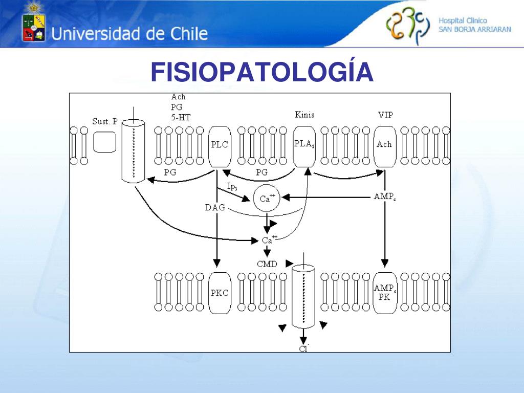 PPT - VIPOMA PANCREÁTICO CASO CLÍNICO PowerPoint Presentation, free ...