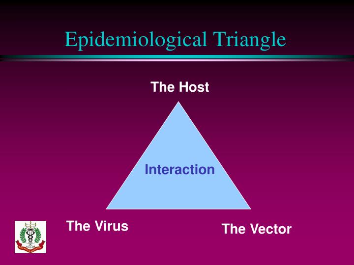 PPT - Dengue Fever PowerPoint Presentation - ID:3424870