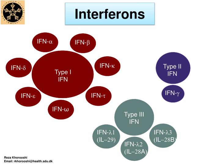 PPT - Interferons PowerPoint Presentation, free download - ID:3425573