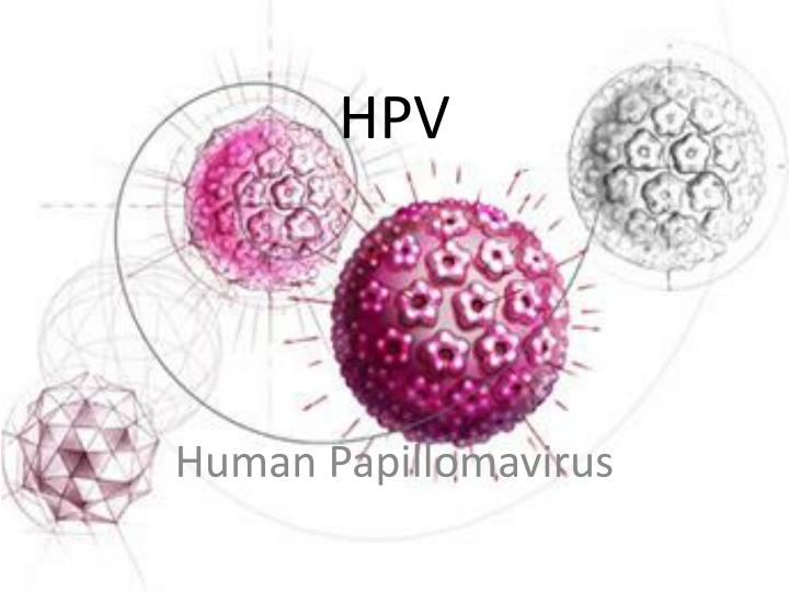 PPT - HPV PowerPoint Presentation, free download - ID:3425708