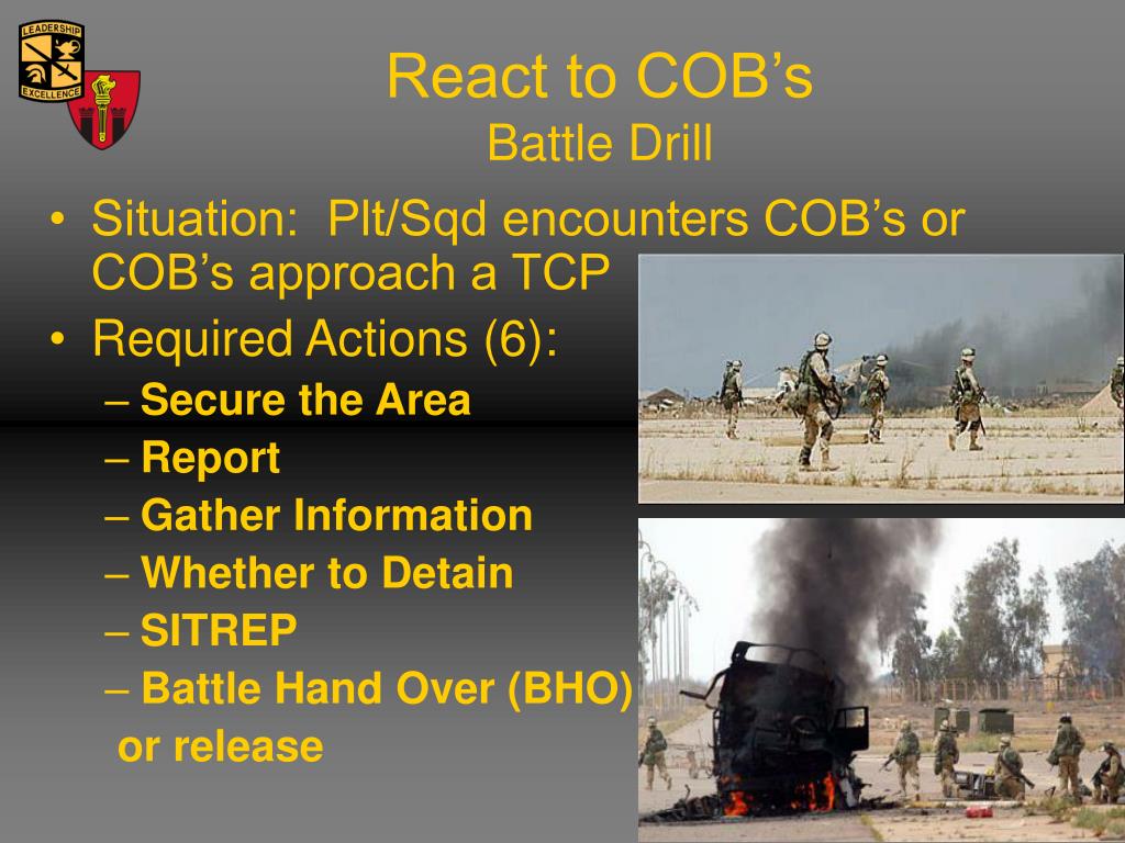 PPT - Civilians on the Battlefield (COBs) CPT (P) Woodruff 2 Mar 06 ...