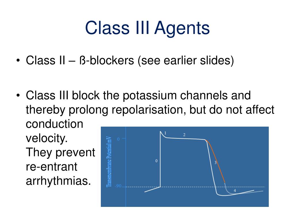 PPT - Cardiovascular Drugs - Angina, MI & Anti-arrhythmics PowerPoint ...