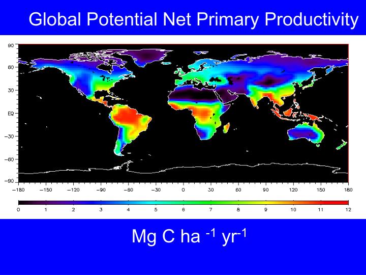 PPT - Gross Primary Production PowerPoint Presentation - ID:3426356