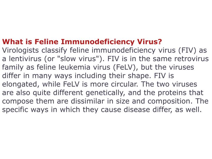 PPT - Poor coat condition and persistent fever with a loss of appetite ...