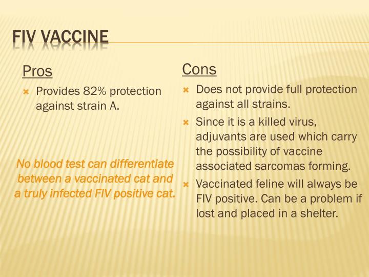 PPT - Feline Immunodeficiency Virus PowerPoint Presentation - ID:3426406