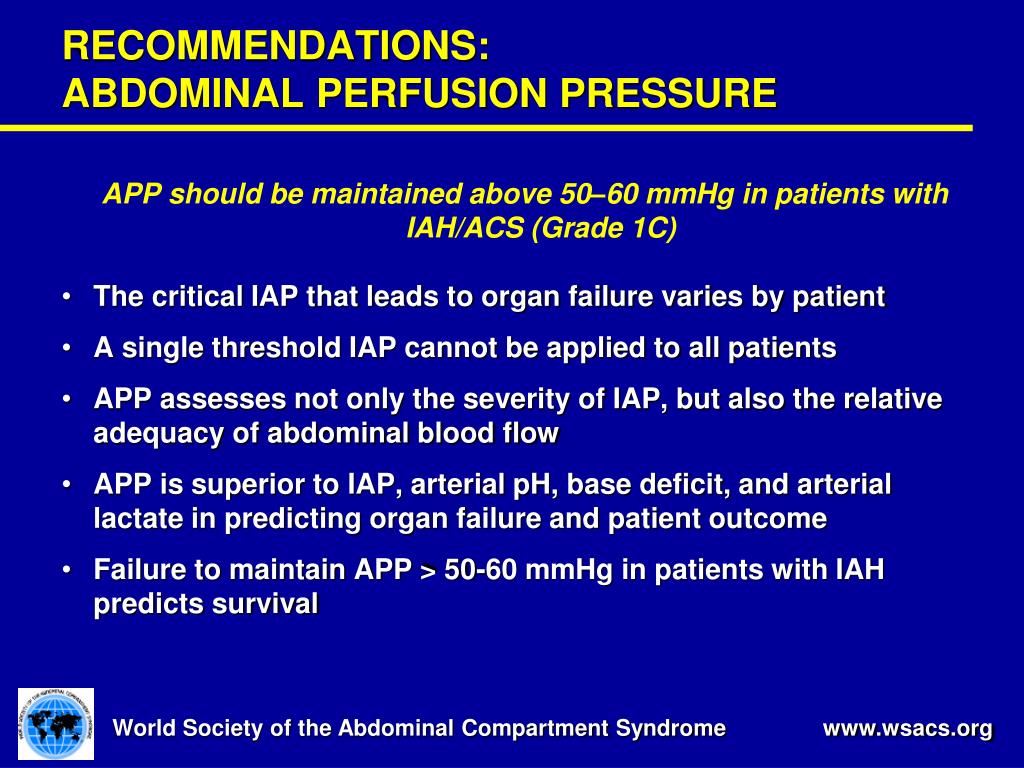 PPT - RECOMMENDATIONS Intensive Care Medicine 2007; 33(6): 951-962 ...