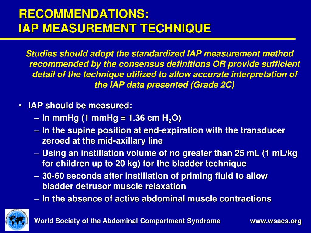 PPT - RECOMMENDATIONS Intensive Care Medicine 2007; 33(6): 951-962 ...