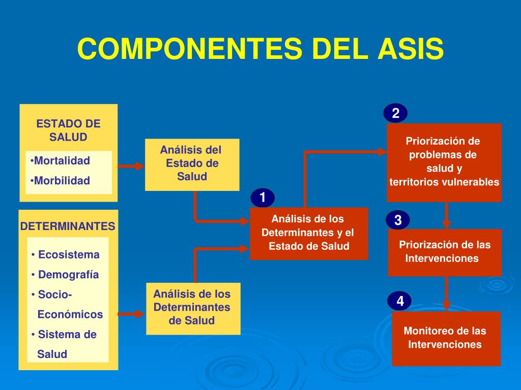 PPT - Dra . Rocio Guillen Ponce PowerPoint Presentation, free download ...